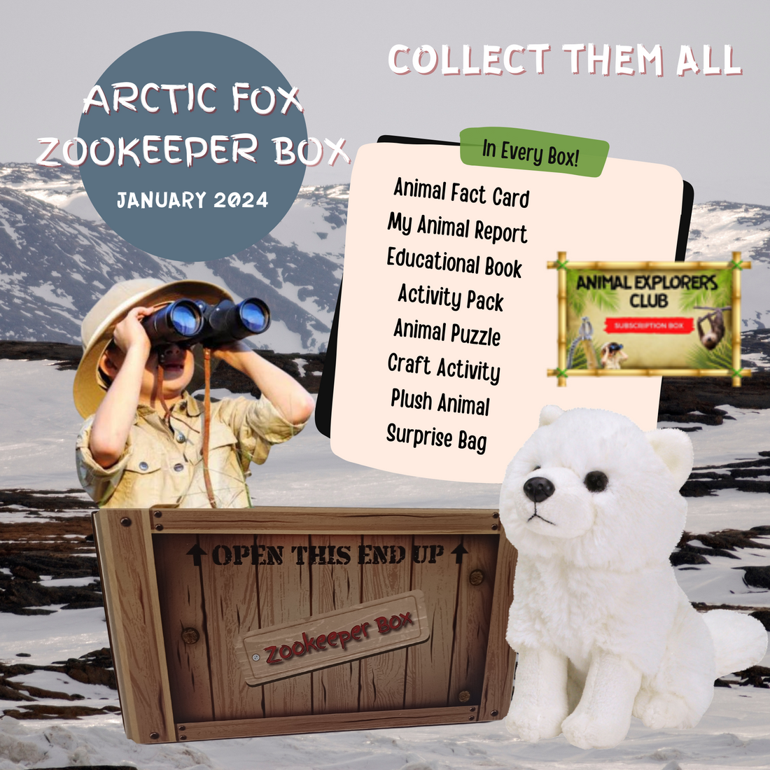 Arctic Fox Zookeeper Box – Animal Explorers Club
