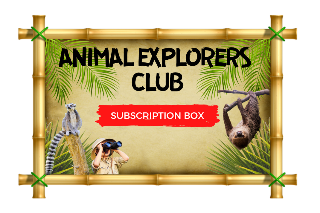 Zookeeper Subscription Box by Animal Explorers Club