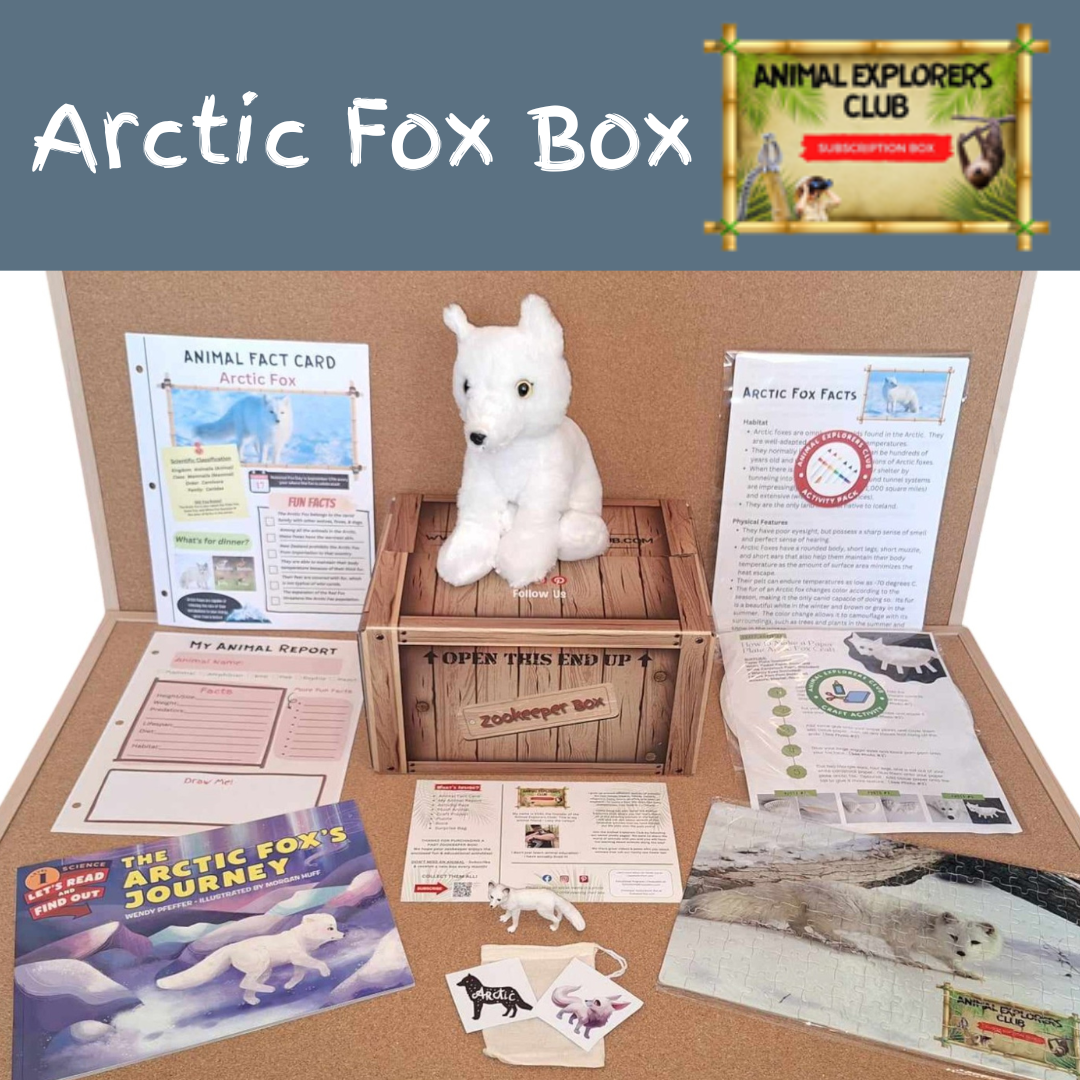 Arctic Fox Zookeeper Box – Animal Explorers Club