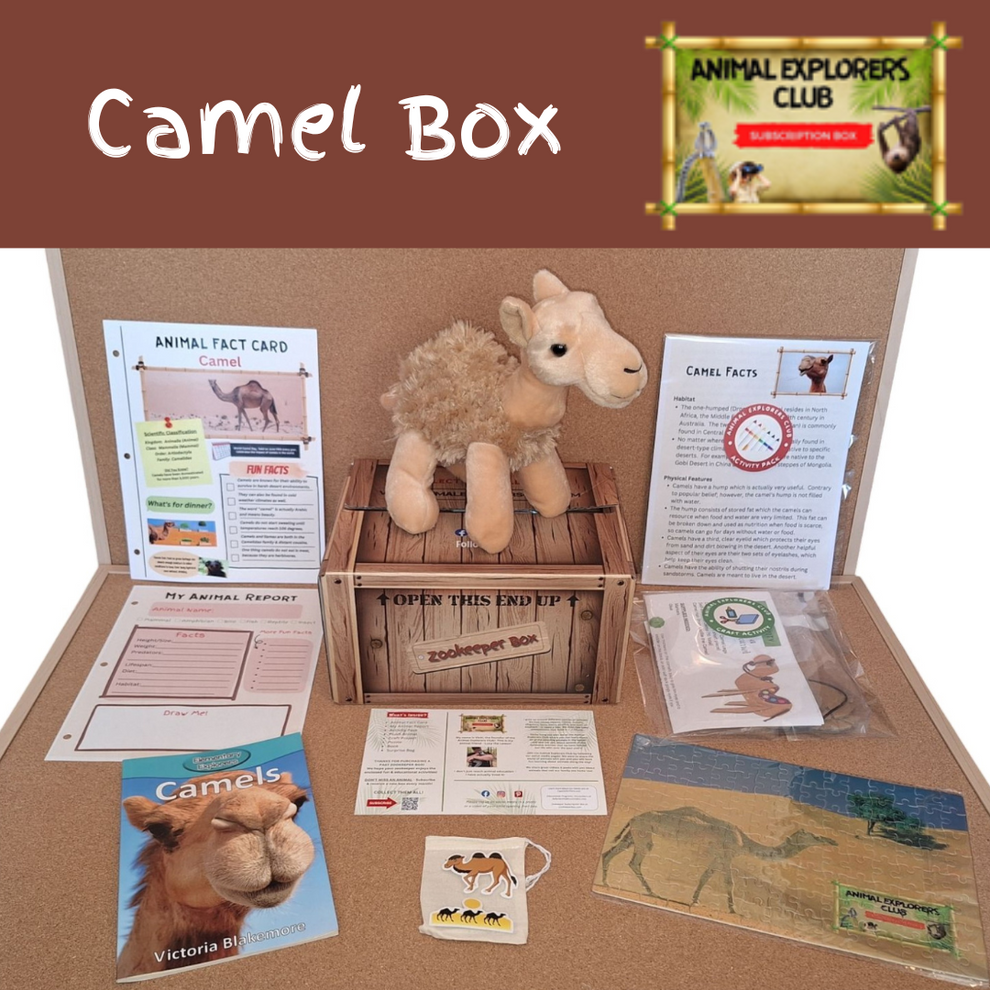 Camel Zookeeper Box – Animal Explorers Club