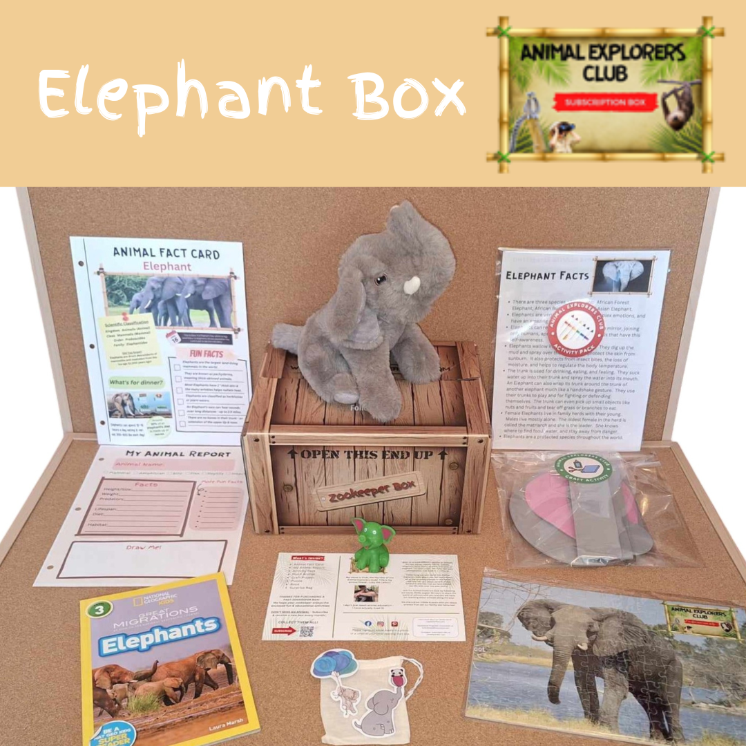 Elephant Zookeeper Box – Animal Explorers Club