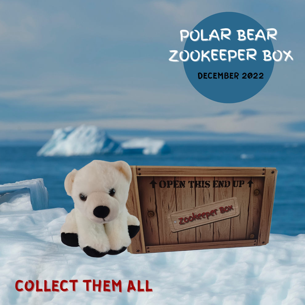 Polar Bear Zookeeper Box – Animal Explorers Club