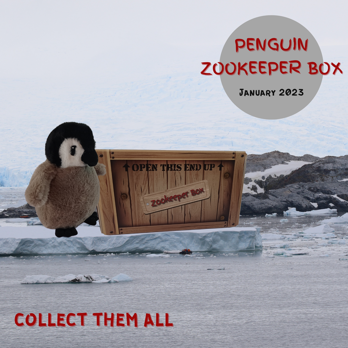 Penguin Zookeeper Box – Animal Explorers Club