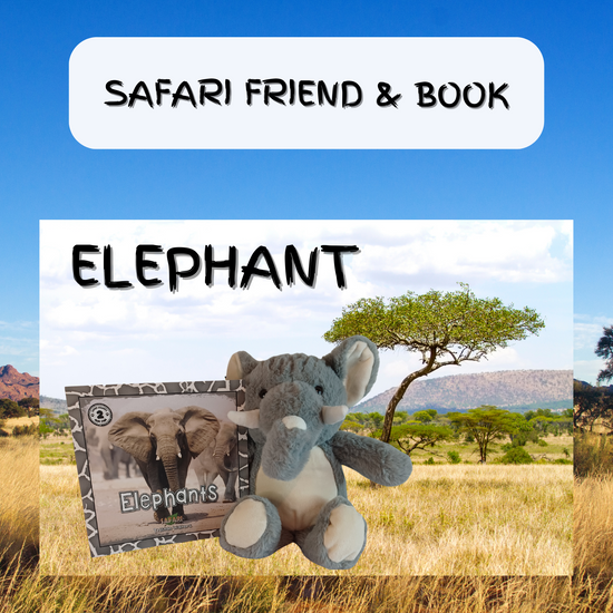 Safari Friend & Book - Elephant – Animal Explorers Club
