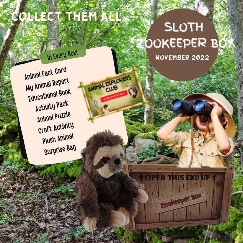Sloth Zookeeper Box – Animal Explorers Club
